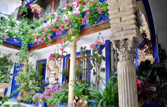 Córdoba 24 | Patio calle Isabel II, 1