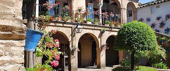 Córdoba 24 | El Zoco Municipal